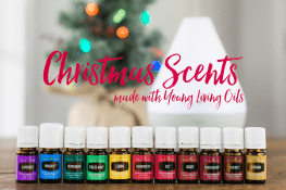 12 holiday inspired essential oil diffuser recipes to get you in the ...
