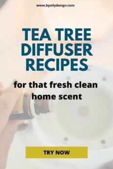 Tea tree oil diffuser recipes - 10 useful diffuser blends for your ...