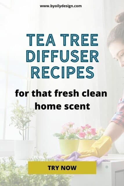 Tea tree oil diffuser recipes - 10 useful diffuser blends for your ...